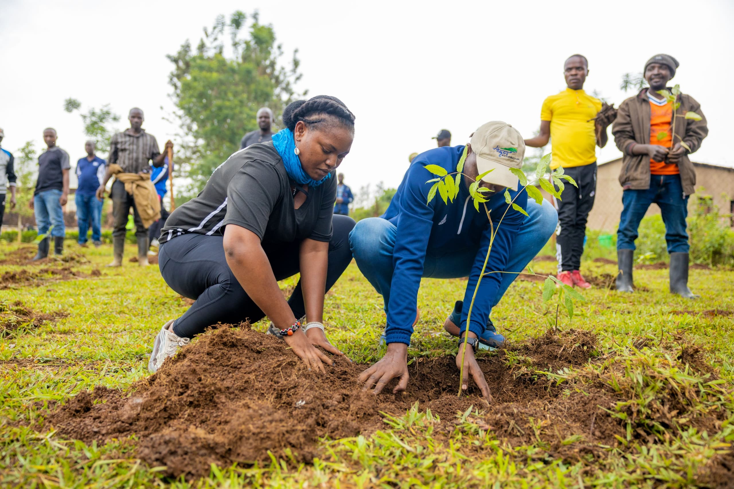 Minisitiri Dr Nsanzimana yagaragaje akamaro ko gutera ibiti ku mavuriro ... Minisitiri Dr Nsanzimana yagaragaje akamaro ko gutera ibiti ku mavuriro ...